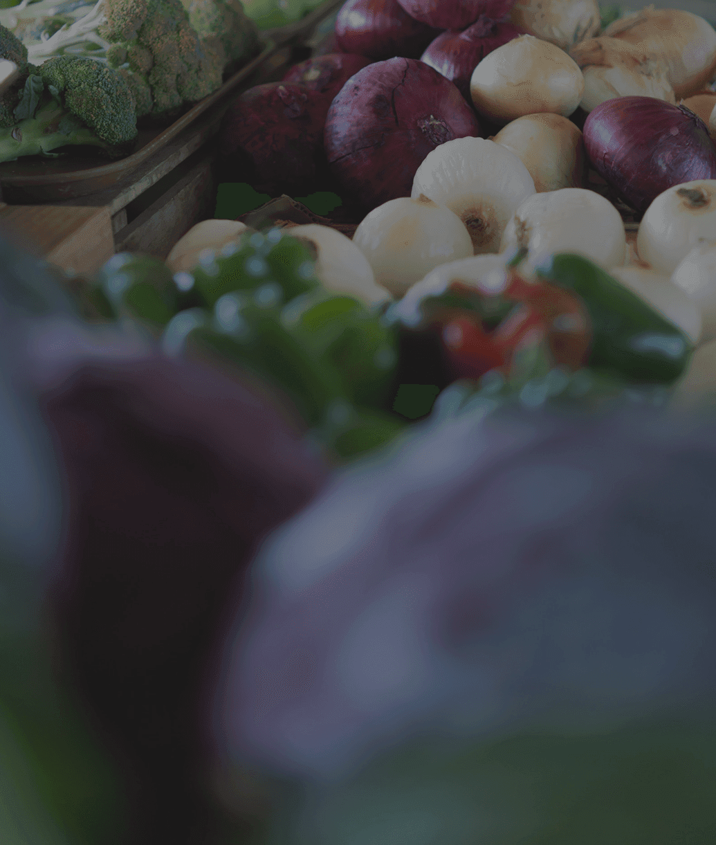 Organic Fruit, Veg and Wholefoods for Bristol